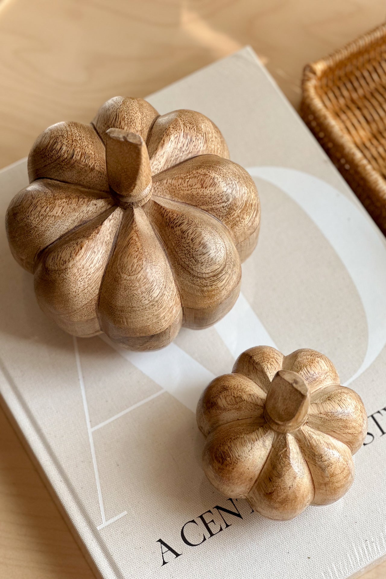 AUTUMN COLLECTION – Teresa del Prete Interior